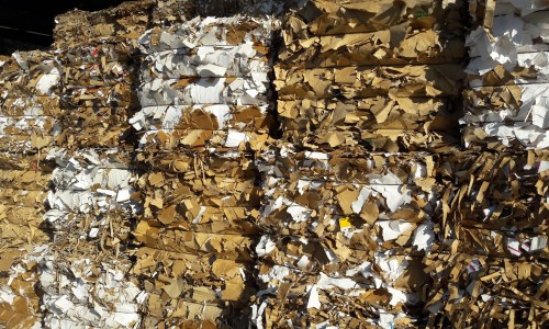 BaleBid | DLK Paper listing - Catalunya