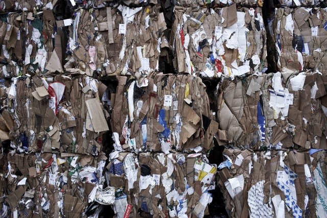 BaleBid | OCC (Old Corrugated Containers) Cardboard listing - Dubai