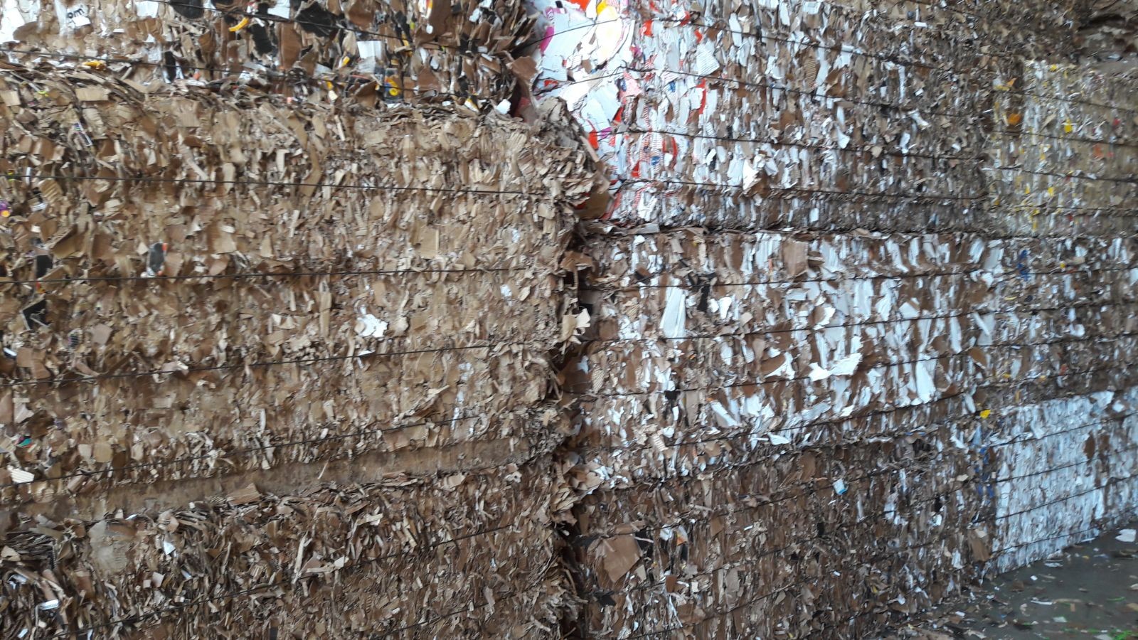 BaleBid | DLK Paper listing - Catalunya