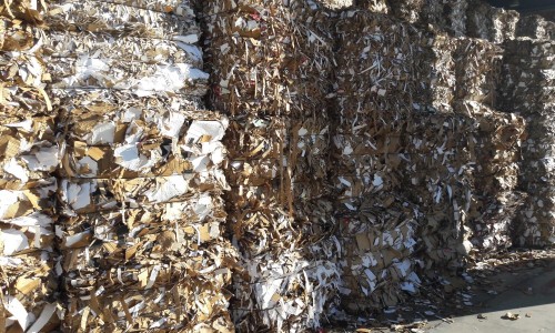 BaleBid | DLK Paper listing - Catalunya