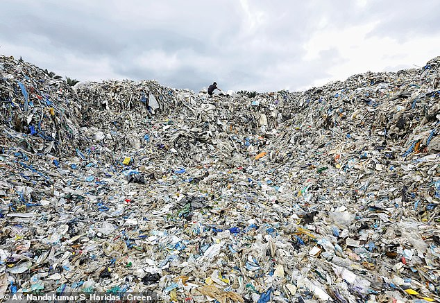 BaleBid | A Dystopian Nightmare...A Plastic Planet